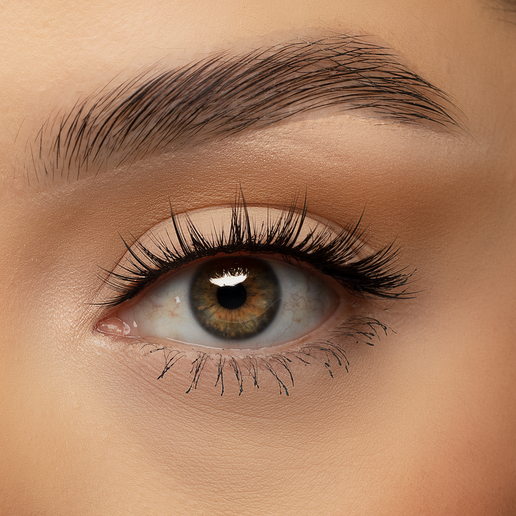 Phoenix – The Makeup Shack